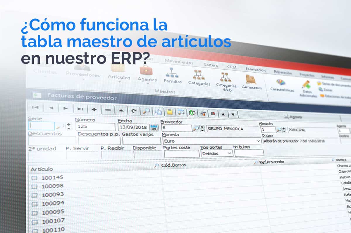 ¿Cómo funciona la tabla maestro de artículos en nuestro ERP? - Distrito K